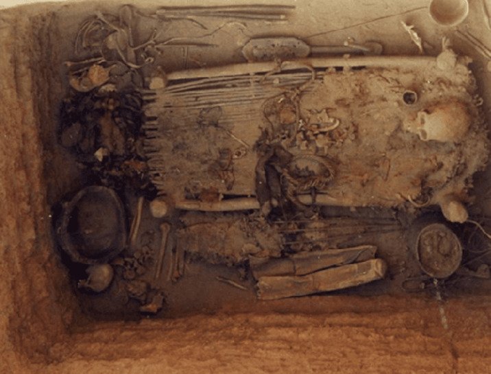 2700-year-old Cannabis discovered in an Asian tomb is now absolutely ...