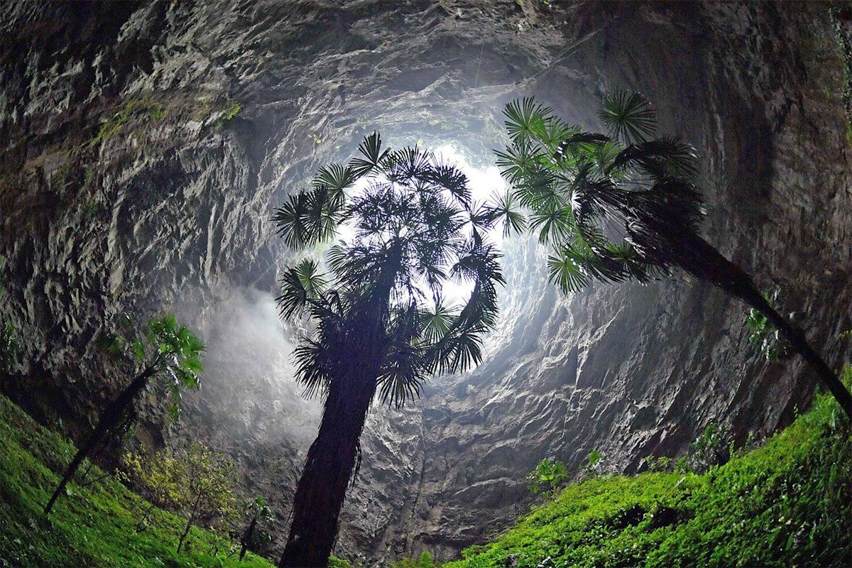 Giant Sinkhole in China Reveals Massive Ancient Forest - MOST ...